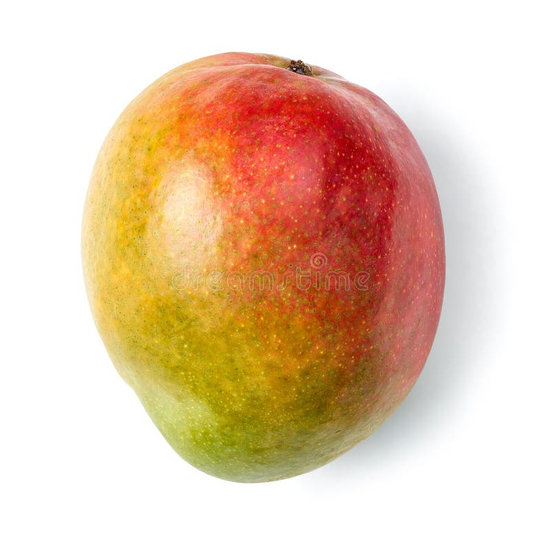 Fresh raw colorful mango stock image. Image of fresh - 217040819