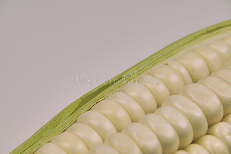 Fresh Corn Cob in a Container on a White Background Stock Photo - Image ...