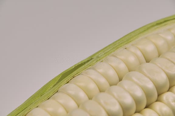 Fresh Corn Cob in a Container on a White Background Stock Photo - Image ...