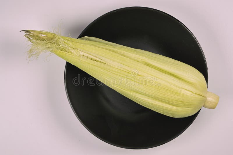 Fresh Corn Cob in a Container on a White Background Stock Image - Image ...