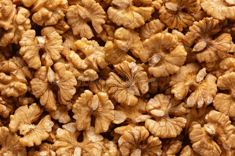 Fresh Raw Crispy Walnuts without Shells Stock Image - Image of nuts ...