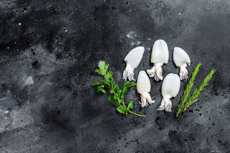 Fresh Raw Cuttlefish with Rosemary and Parsley. Black Background. Top ...