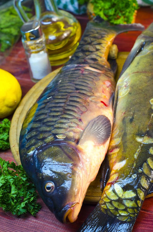Fresh raw fish carp stock photo. Image of mirror, lemon - 79998980