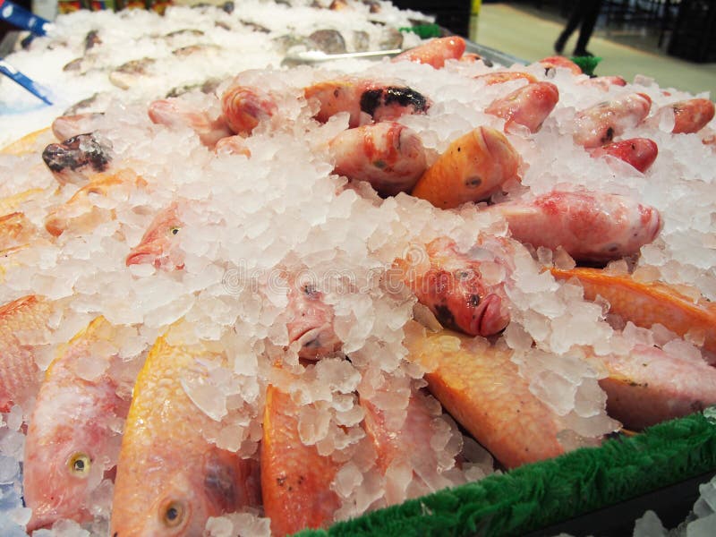 Fresh Raw Fish Displayed on Ice at Supermarket Stock Photo - Image of ...