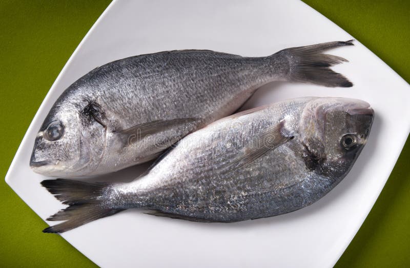 Fresh raw fish stock photo. Image of seafood, fish, fishing - 68196868