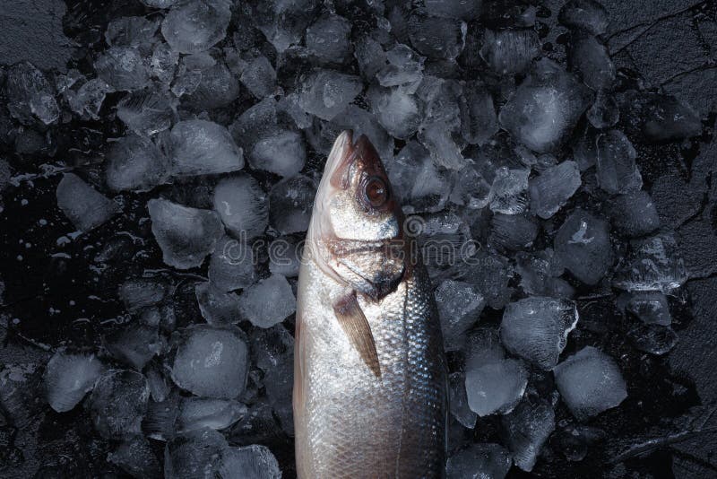 Fresh Raw Fish on Ice. Top View Stock Photo - Image of natural, market ...