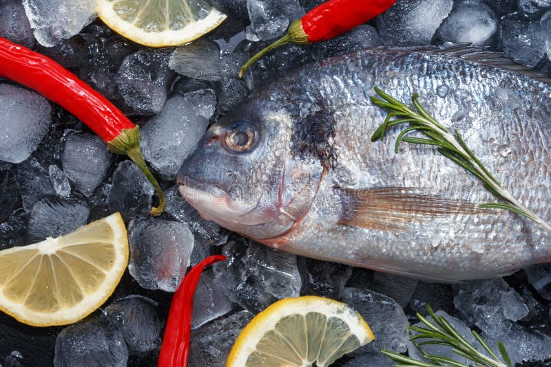 Fresh Raw Fish on Ice. Top View Stock Image - Image of restaurant ...