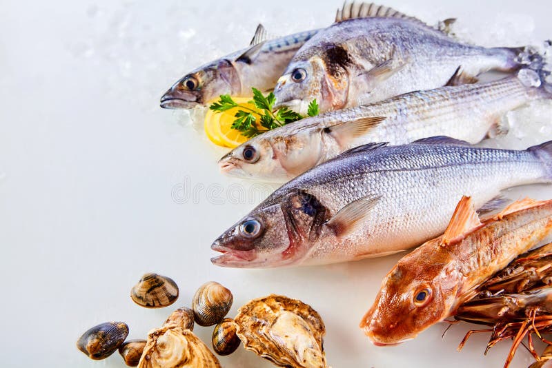 Fresh Raw Fish, Shellfish and Seafood on White Stock Image - Image of ...