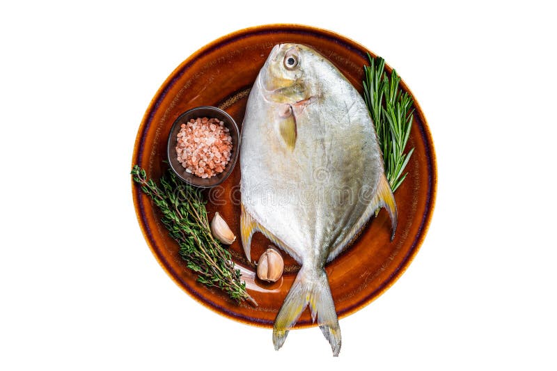 Pompano Fish Fillet Stock Photos - Free & Royalty-Free Stock Photos ...