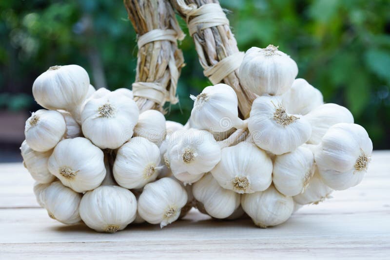 Fresh Raw Garlic Bundle, Copy Space, Kitchen Raw Ingredient Concept ...