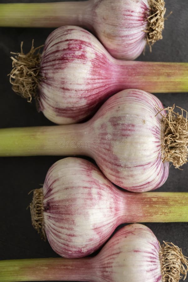 Fresh Raw Garlic on Grey Background Stock Photo - Image of light, fresh ...