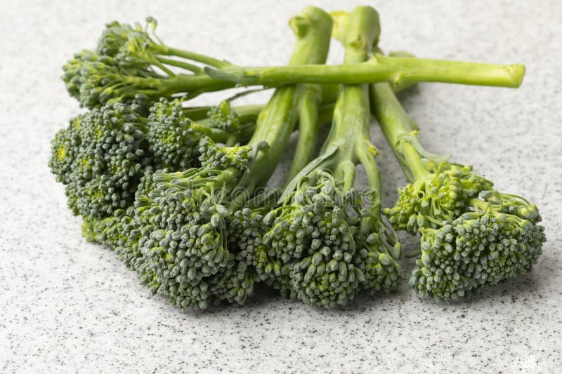 Aspabroc Stock Photos - Free & Royalty-Free Stock Photos from Dreamstime