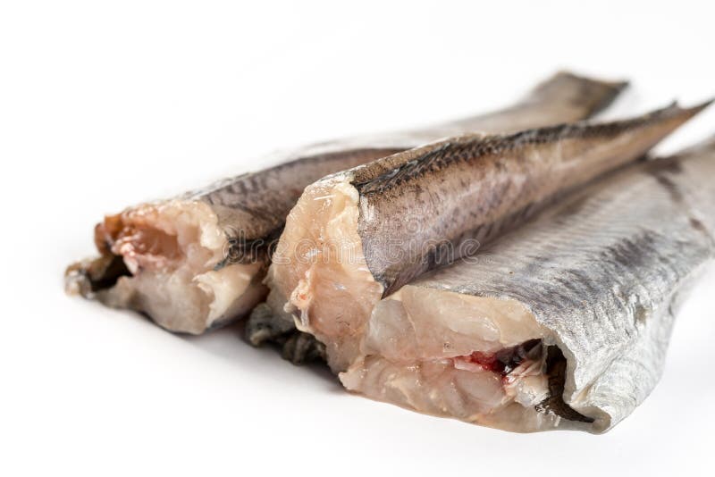 Fresh Raw Hake Fish Isolated Over White Background Stock Image - Image ...