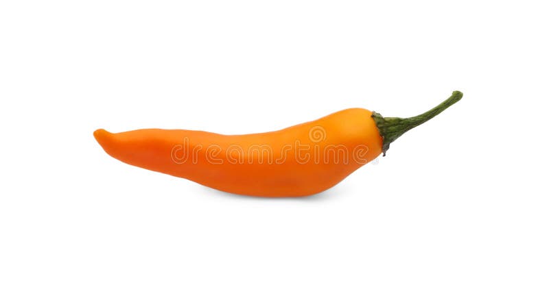 Fresh Raw Hot Chili Pepper Isolated on White Stock Image - Image of ...