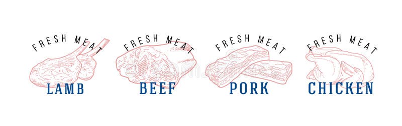 Fresh Raw Meat Engraved Design Stock Vector - Illustration of bacon ...