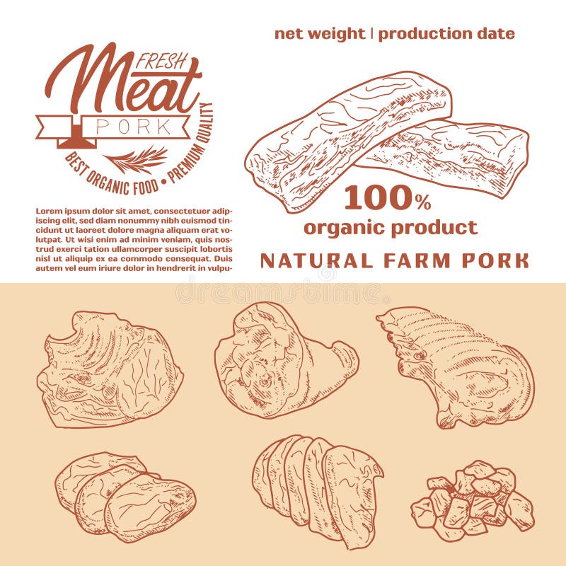 Fresh Raw Meat Engraved Design Stock Vector - Illustration of uncooked ...
