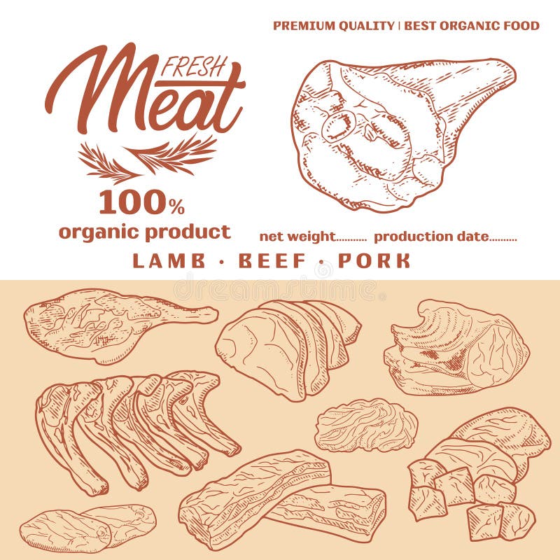 Fresh Raw Meat Engraved Design Stock Vector - Illustration of product ...