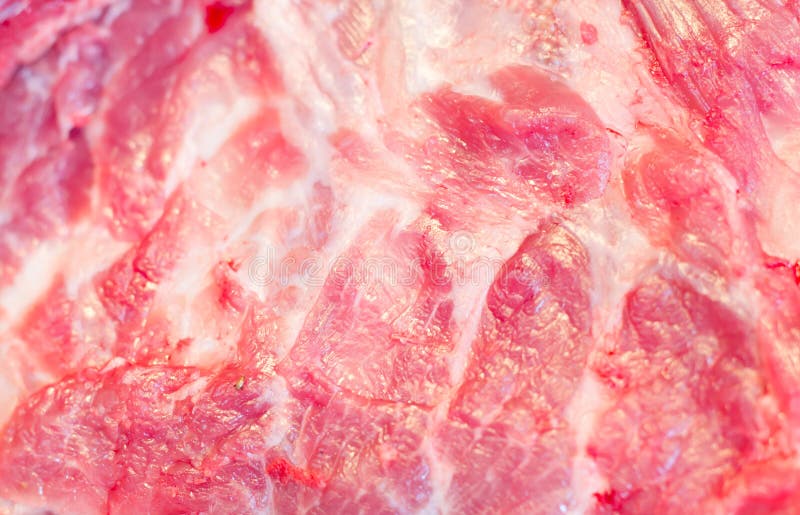 Fresh raw meat. stock image. Image of tenderloin, prime - 52475449
