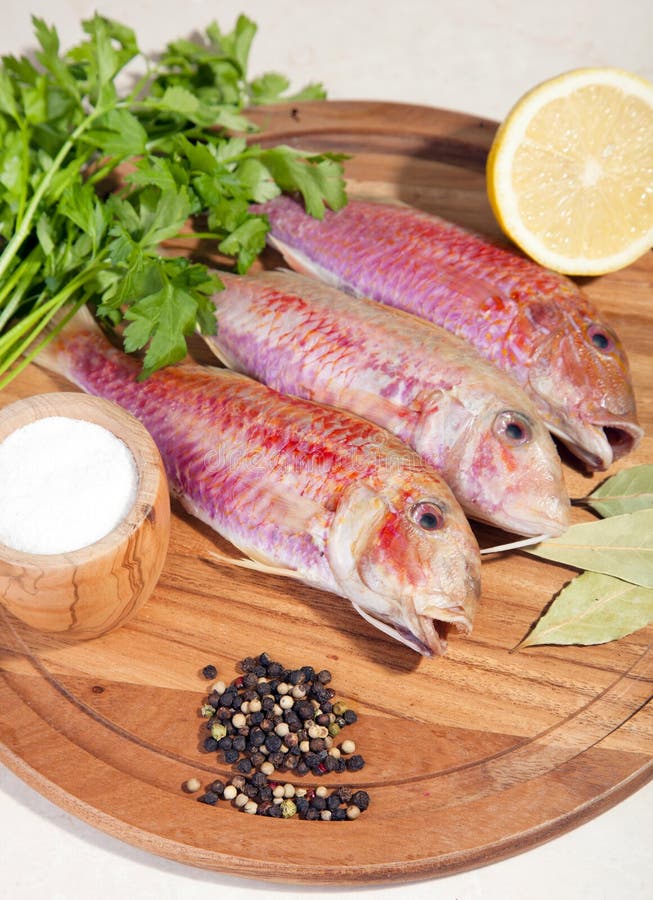 692 Fresh Raw Mediterranean Red Mullet Fish Stock Photos - Free ...