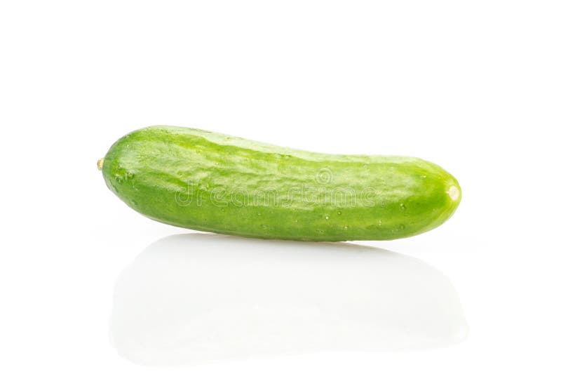 Single Baby Cucumber stock photo. Image of small, maturity - 13668852