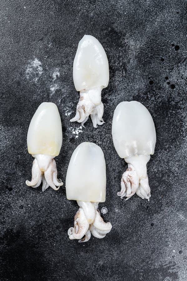 Fresh Raw Cuttlefish with Rosemary and Parsley. Black Background. Top ...