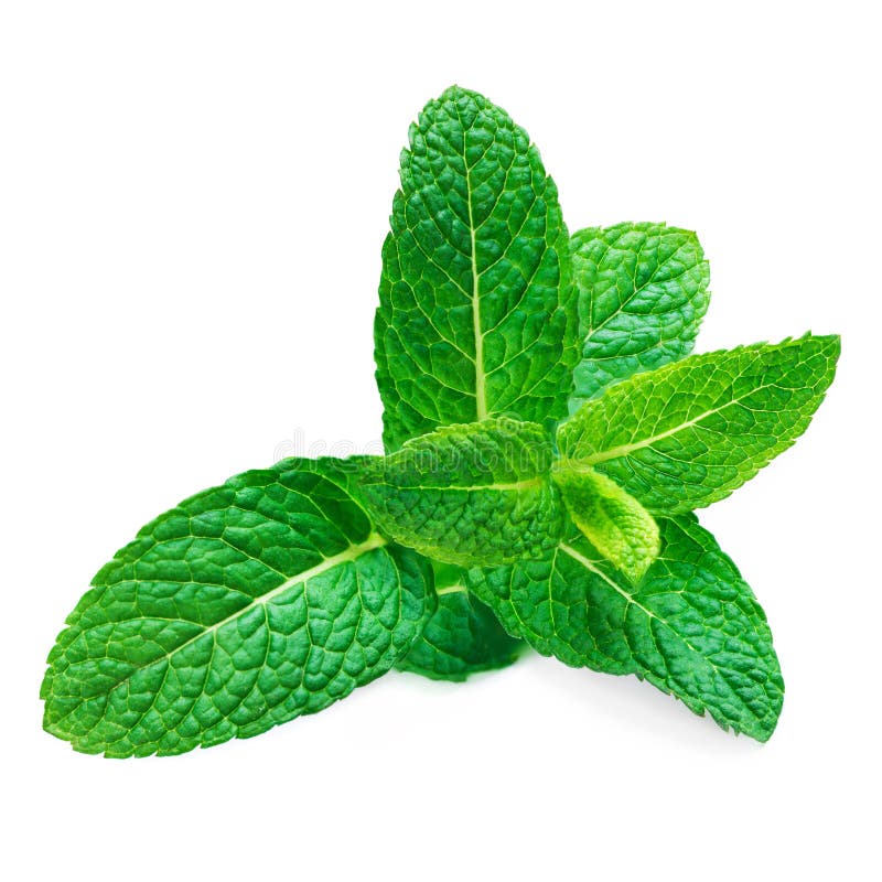 77,043 Peppermint Stock Photos - Free & Royalty-Free Stock Photos from ...