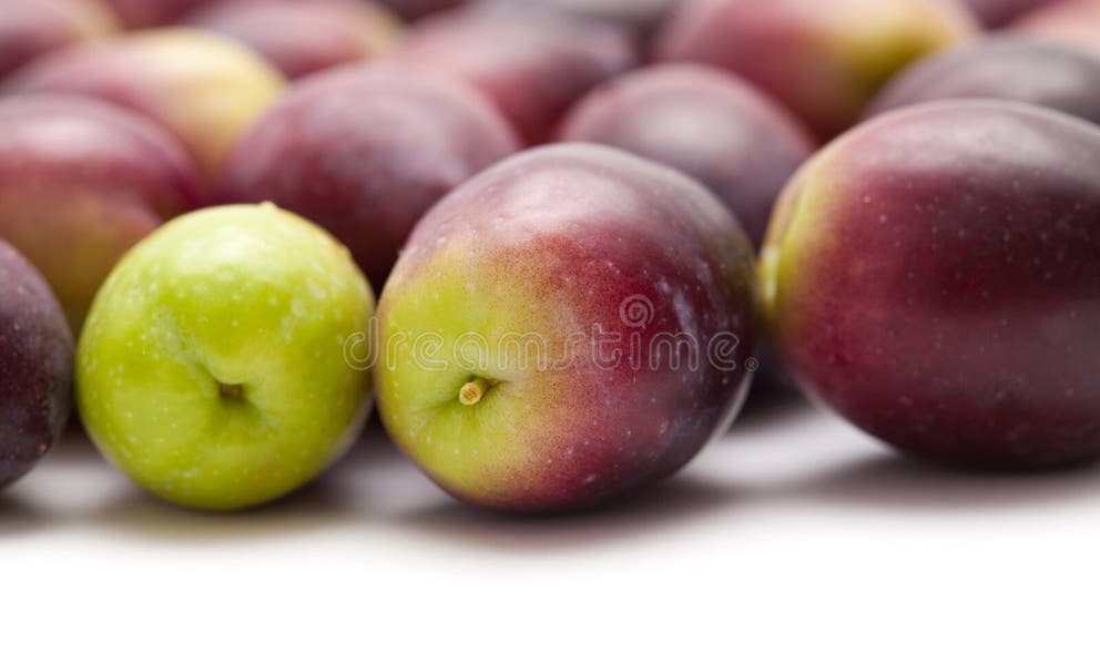 Fresh raw olives stock image. Image of calorie, picked - 45161043