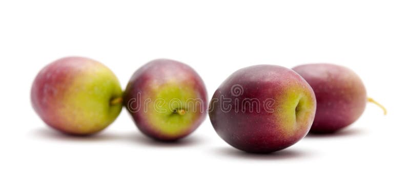 Fresh raw olives stock photo. Image of harvest, olive - 45161236