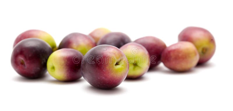 Fresh raw olives stock image. Image of natural, green - 45161297