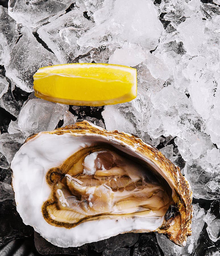 Fresh Raw Open Oyster with Ice and Lemon Slice Stock Photo - Image of ...