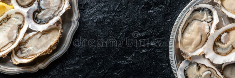 Fresh Raw Oysters on Ice Panorama, Overhead Flat Lay Shot Stock Image ...