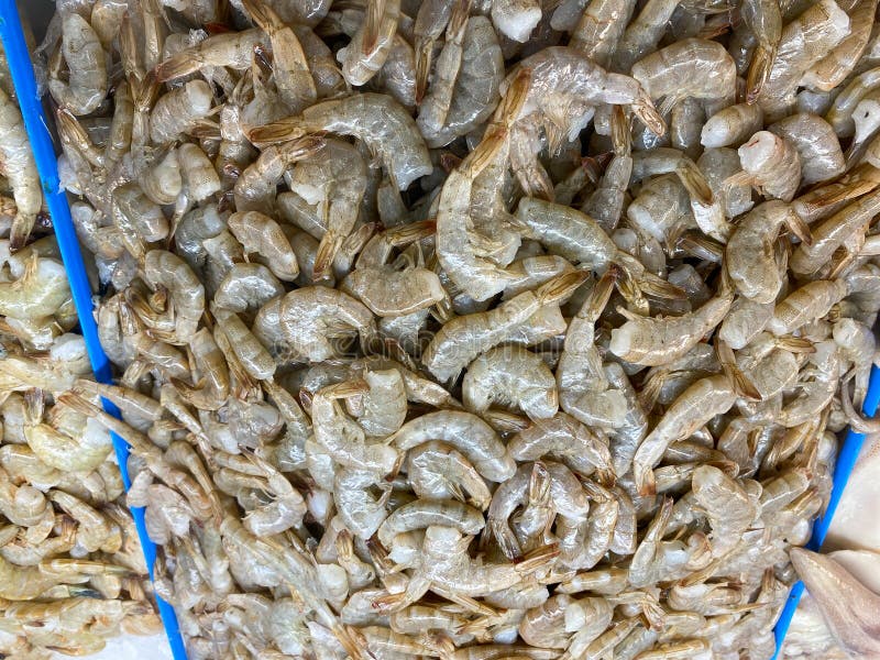 Fresh Raw Pacific White Shrimp with Shell and Tail on Stock Image ...