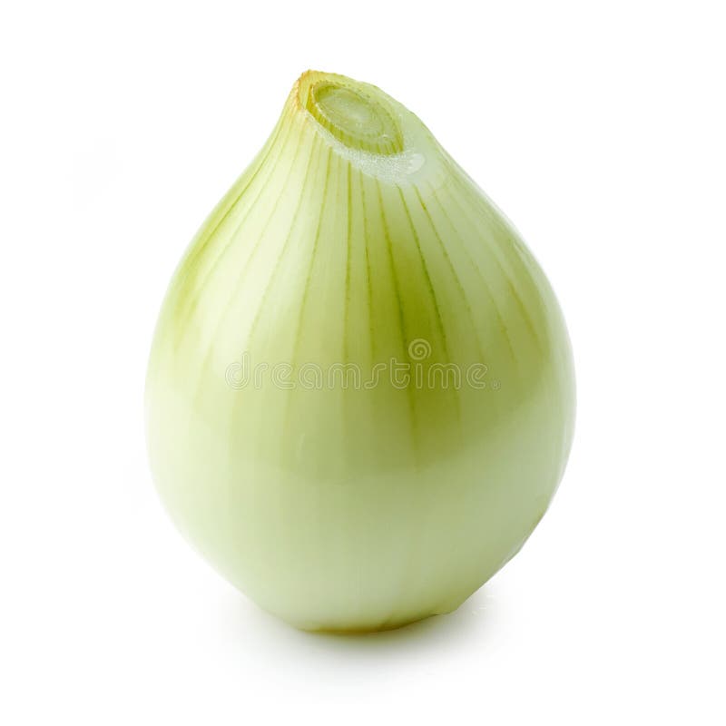 Fresh raw peeled onion stock photo. Image of food, culinary - 208983376