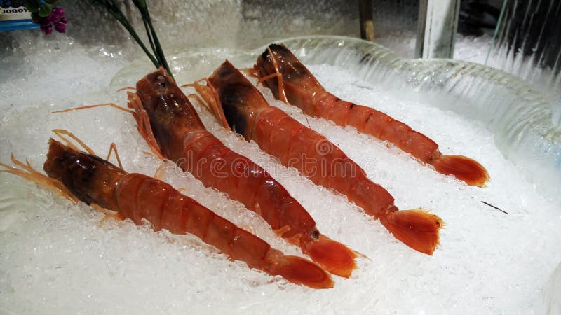 Fresh Raw Prawn stock image. Image of color, cooked, close - 63840147