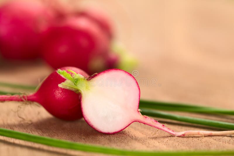 Fresh Raw Radish stock photo. Image of focus, photograph - 21961594