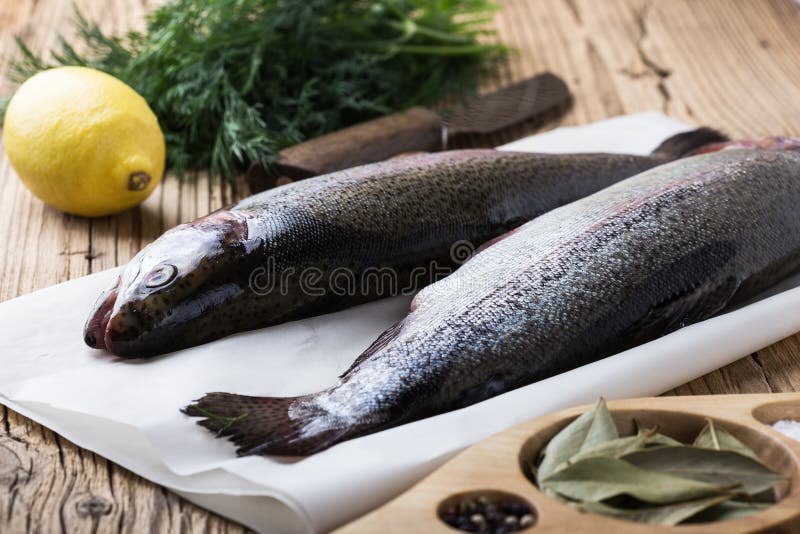 Fresh Raw Rainbow Trout on Parchment Stock Photo - Image of fishing ...
