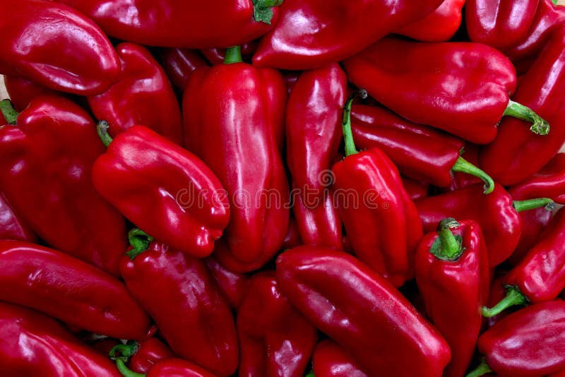 Capsicum Annuum Red Bell Peppers Stock Photo - Image of peppers ...