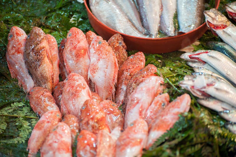 Fresh raw red fish stock photo. Image of delicious, tail - 76890598