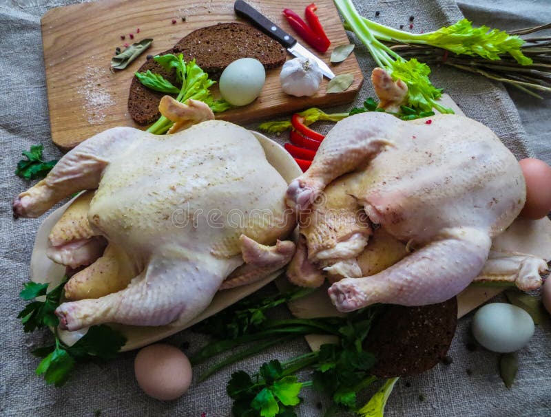 Organic Chickens in Their Corral Stock Image - Image of corral, harvest ...