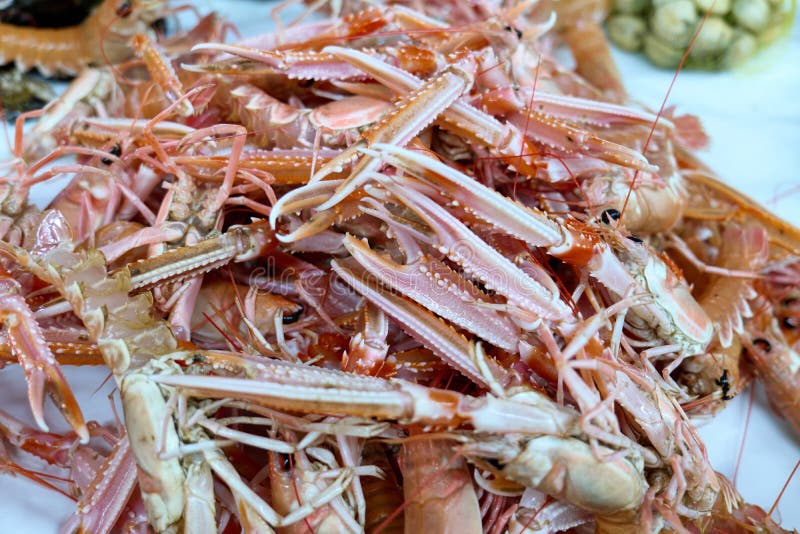 Fresh Raw Scampi, Close Up Look Stock Image - Image of life, food ...