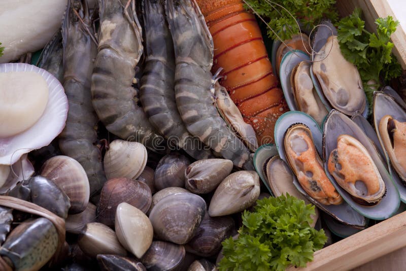 Fresh raw sea food stock image. Image of stack, paella - 43086107
