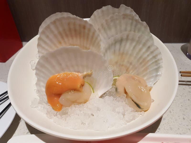 1,221 Scallop Ice Stock Photos - Free & Royalty-Free Stock Photos from ...