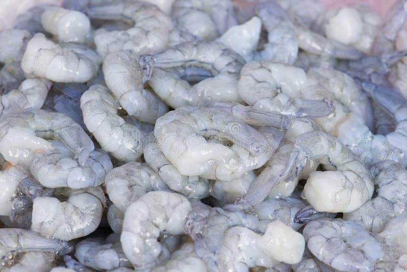 Fresh Raw Shrimps stock image. Image of marine, asia - 12527671