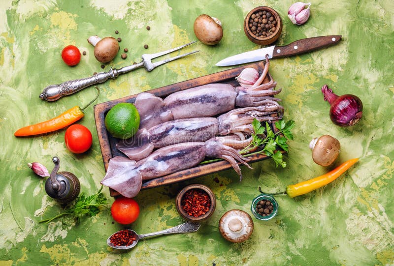 Fresh raw squid stock photo. Image of seafood, preparation - 151378830