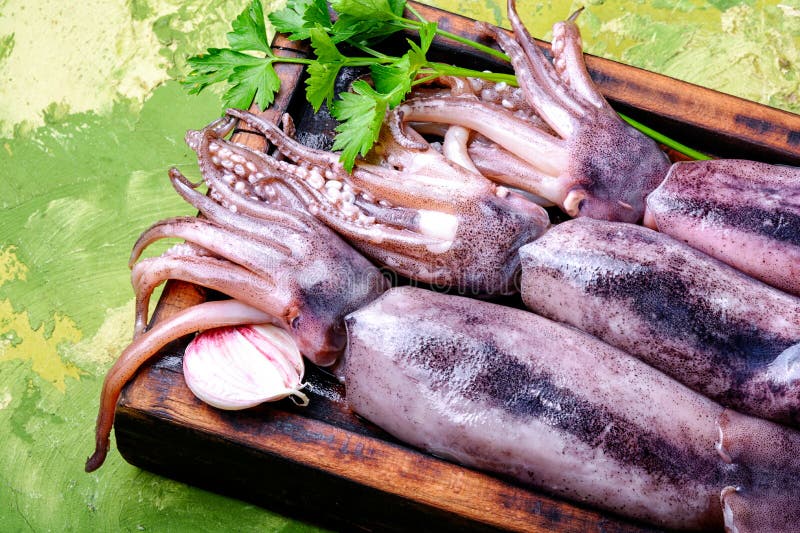 Fresh raw squid stock photo. Image of seafood, preparation - 151378830