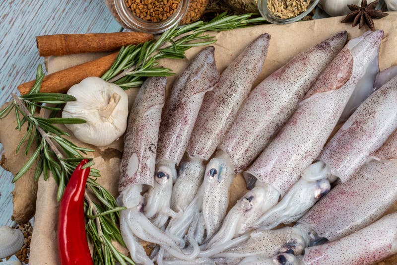 Fresh Raw Squids Surrounded by Spices. Stock Image - Image of garnish ...
