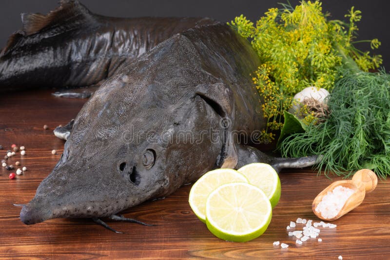 Fresh Raw Sturgeon Fish on the Table with Lemon Pepper Garlic. Clouse ...