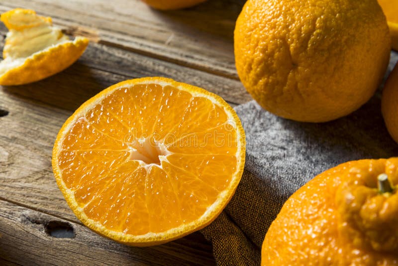 Fresh Raw Sumo Oranges stock image. Image of orange - 108058445
