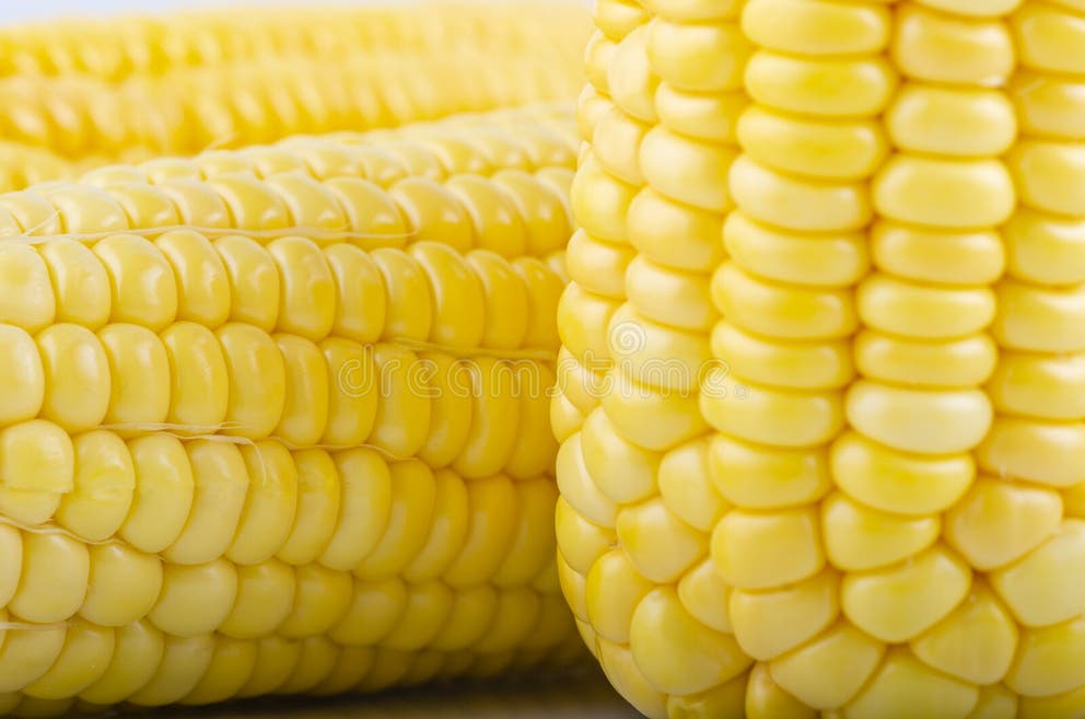 Fresh Raw Sweet Corn on the Cob Kernels Over White Background Stock ...