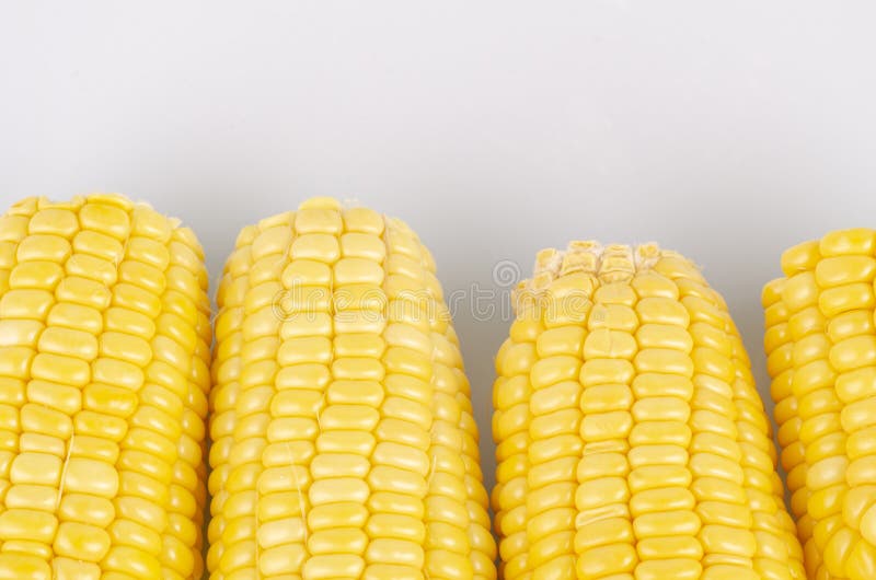 Fresh Raw Sweet Corn on the Cob Kernels Over White Background Stock ...